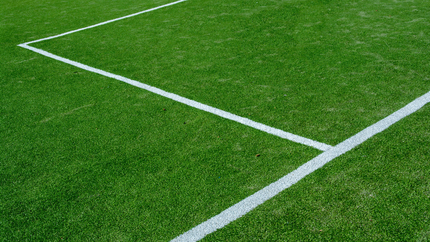 Line Painting Services – Turf Kings